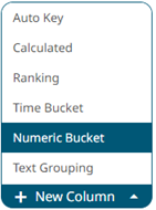 Adding Numeric Equal Distance Bucketing
